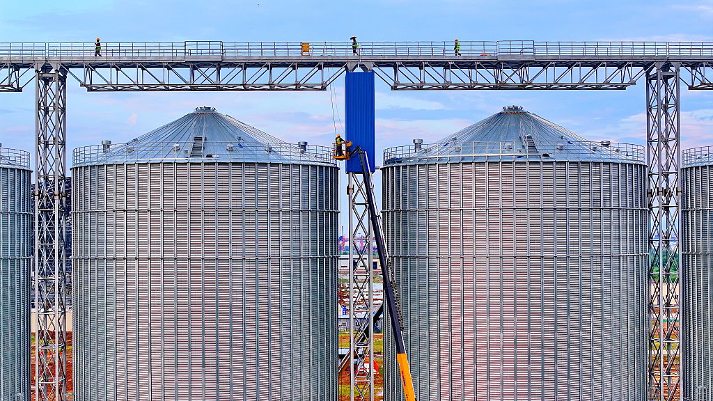 Что мешает аграриям и экспортерам зарабатывать на российском зерне ...