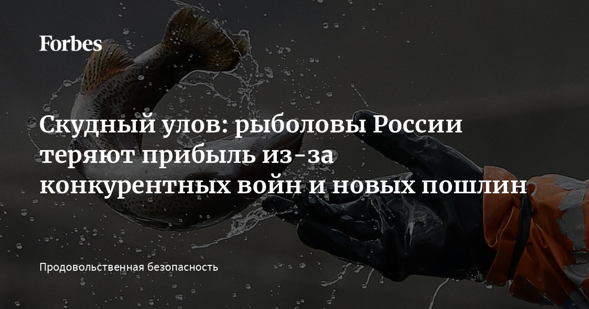 Скудный улов: рыболовы России теряют прибыль из-за конкурентных войн и ...