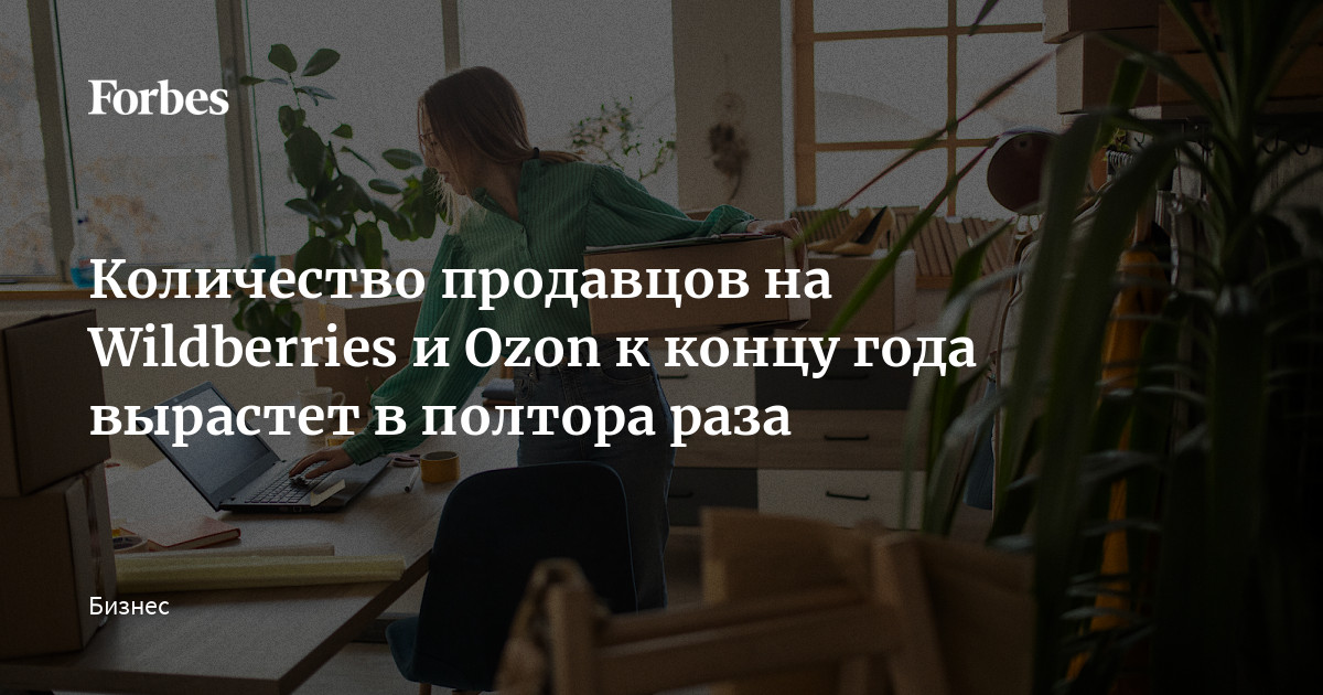 Количество продавцов на Wildberries и Ozon к концу года вырастет в ...