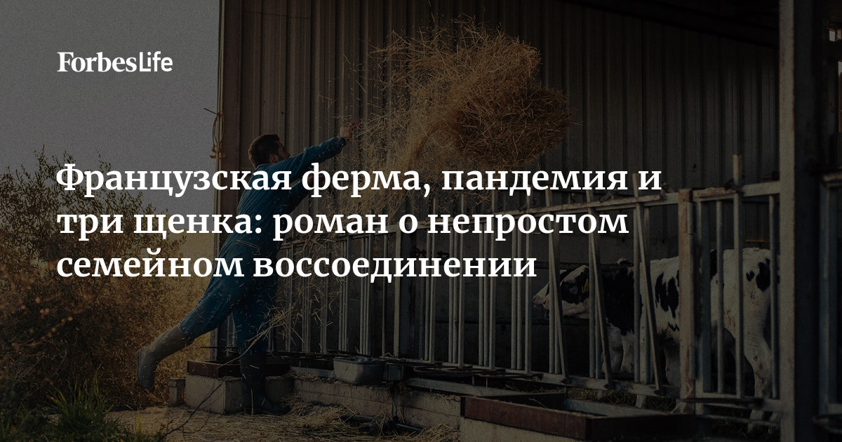 Французская ферма, пандемия и три щенка: роман о непростом семейном ...