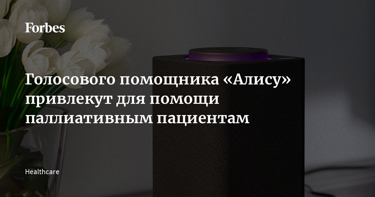 Голосового помощника «Алису» привлекут для помощи паллиативным ...