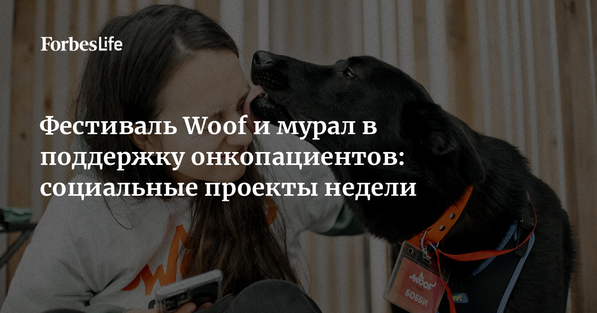 Фестиваль Woof и мурал в поддержку онкопациентов: социальные проекты ...