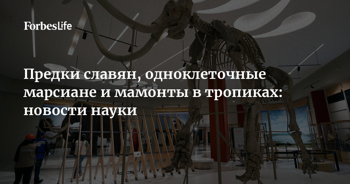 Предки славян, одноклеточные марсиане и мамонты в тропиках: новости ...